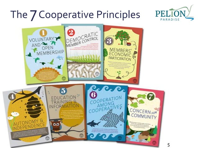 The 7 cooperative principles | PPTX | Business | Business and Finance
