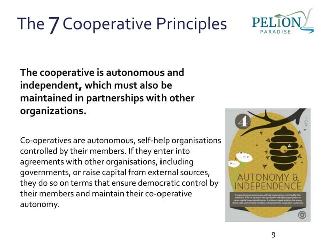 The 7 cooperative principles | PPTX | Business | Business and Finance