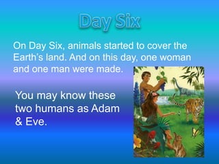 The 7 day creation | PPTX