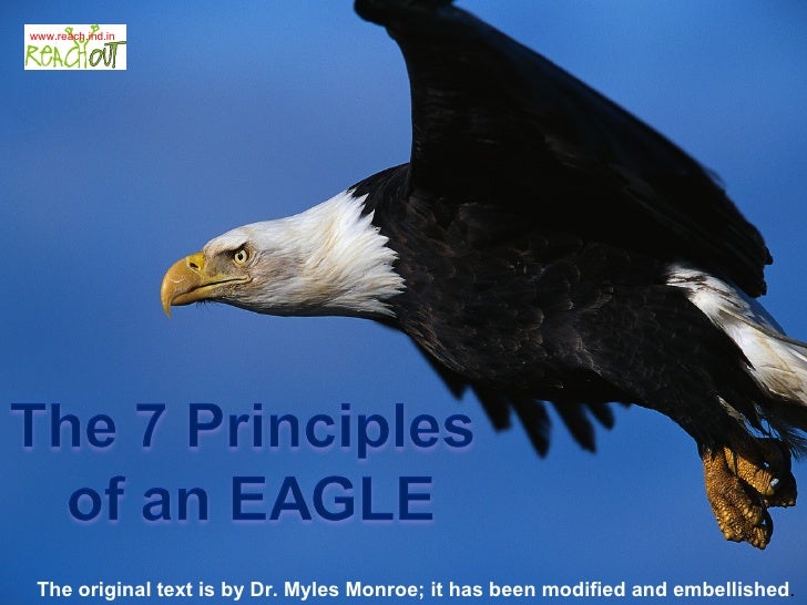 The 7 Principles Of An Eagle