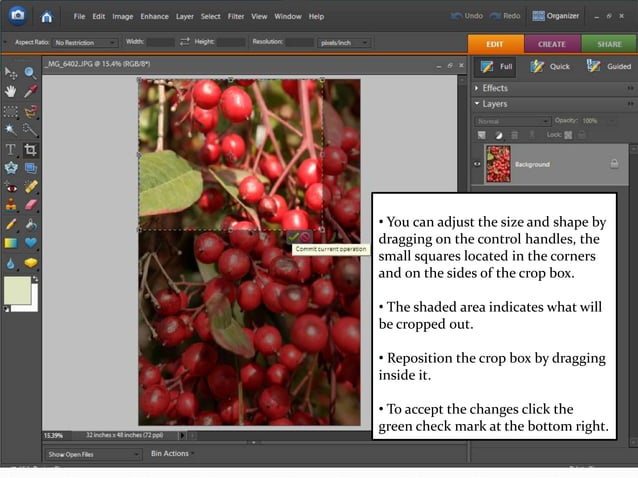 The 8 Basic Steps Elements 6 | PPT