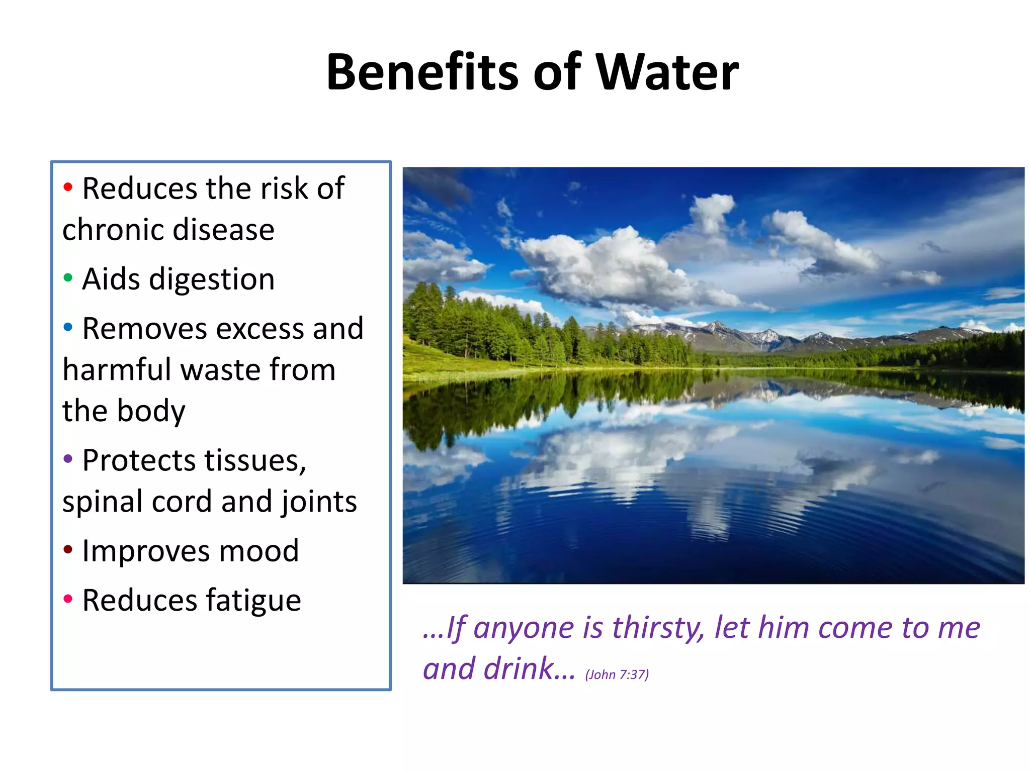The 8 natural doctors | PPTX