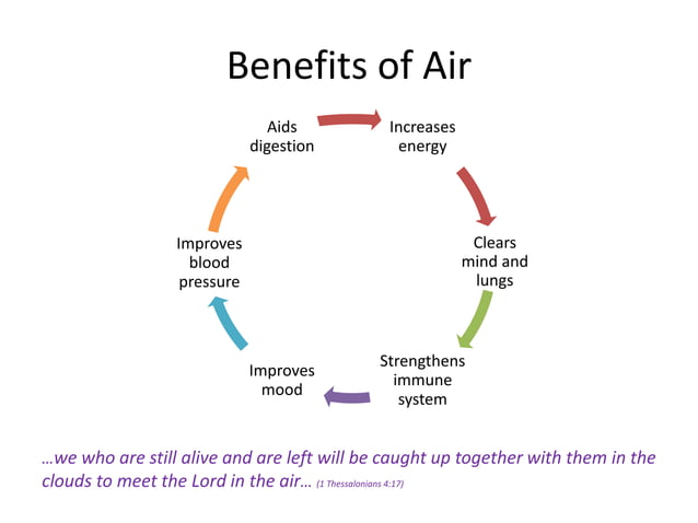 The 8 natural doctors | PPTX