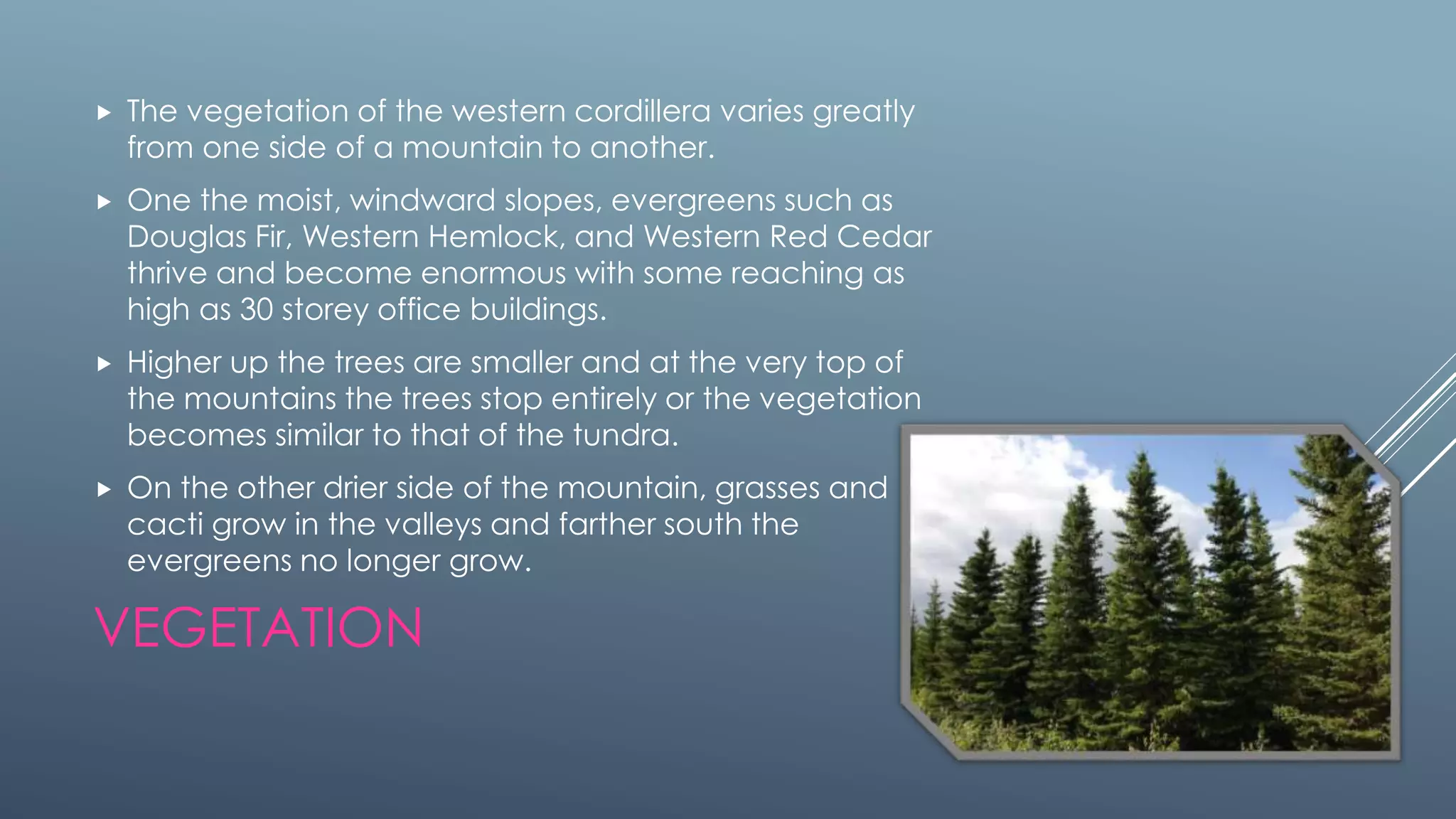 The 8 physical regions of north america | PPTX