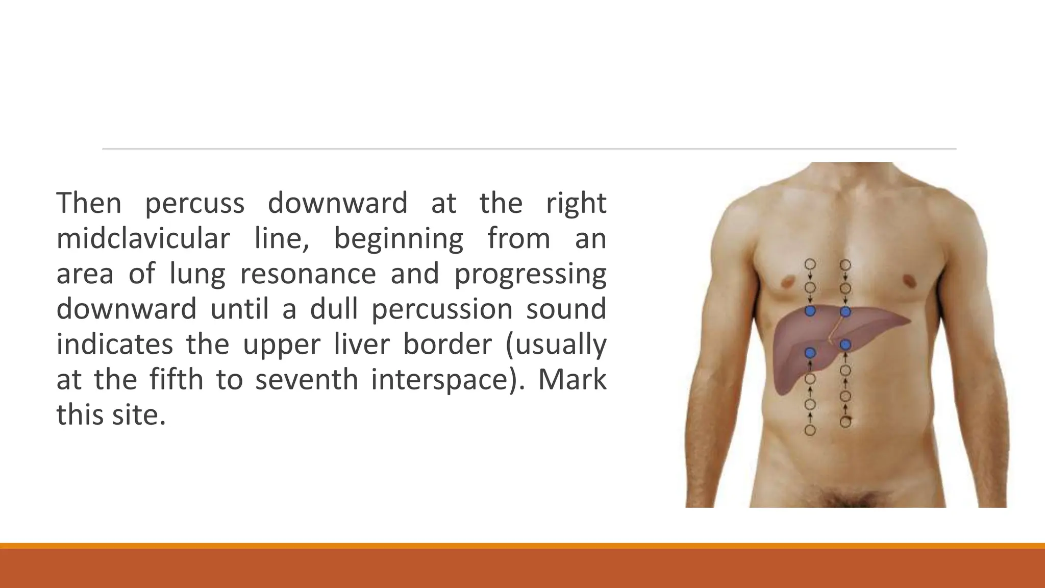 The abdominal assessment physical examination | PPTX