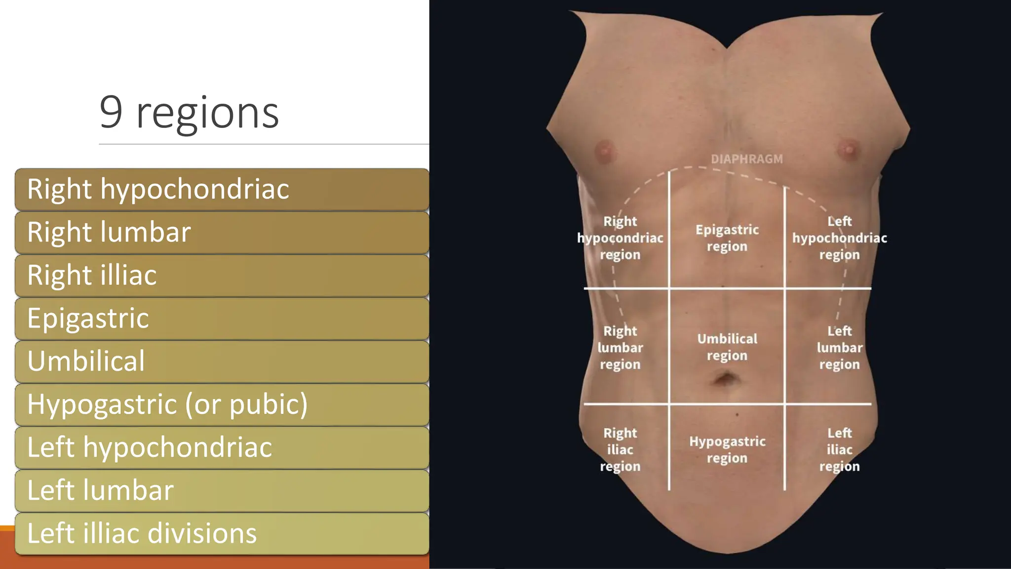 The abdominal assessment physical examination | PPTX