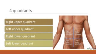 The abdominal assessment physical examination | PPTX