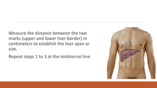 The abdominal assessment physical examination | PPTX