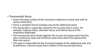 The abdominal wall | PPTX