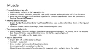 The abdominal wall | PPTX
