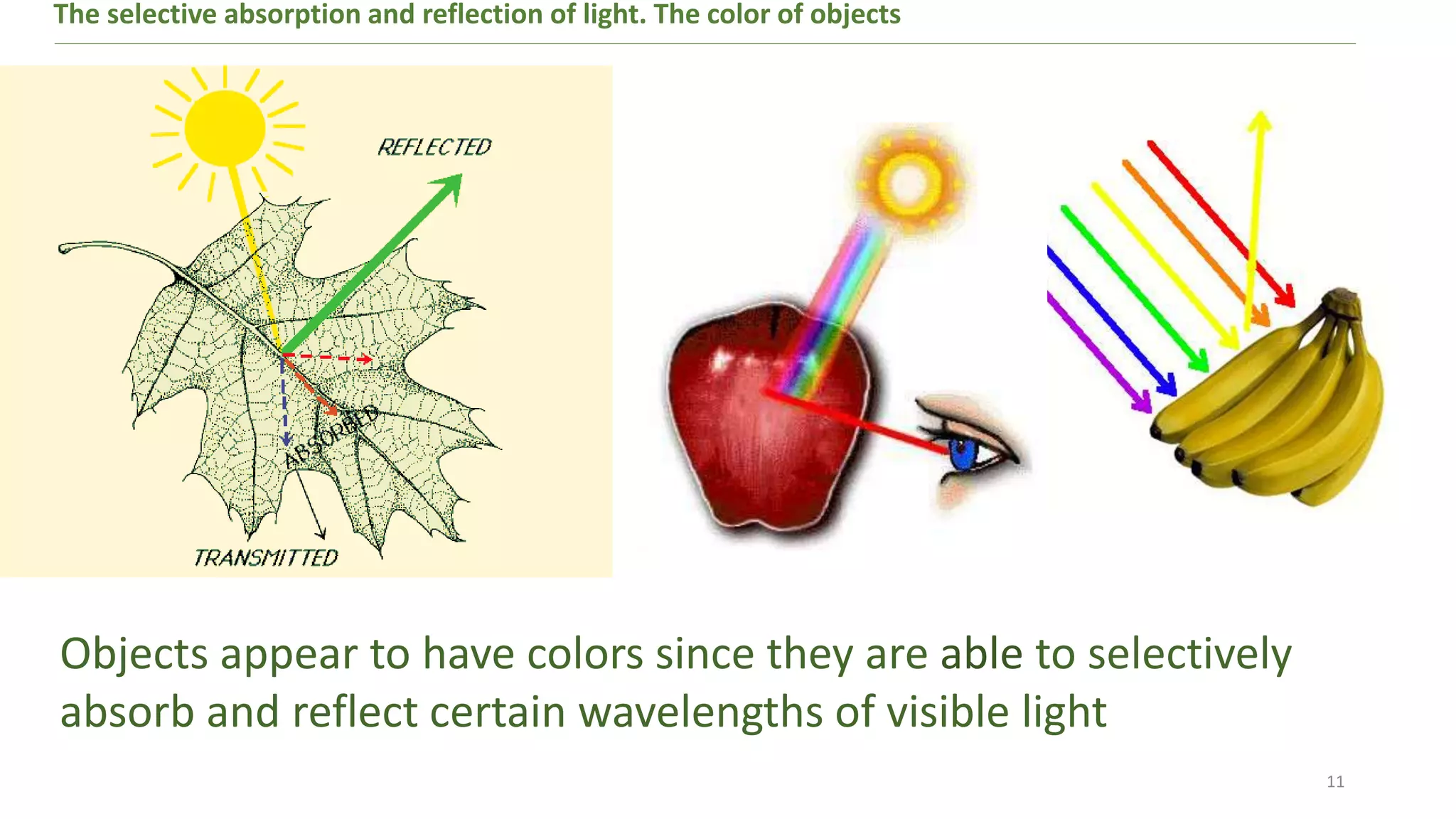 The absorption and the selective refraction of light the color of ...