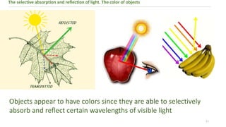 The absorption and the selective refraction of light the color of ...