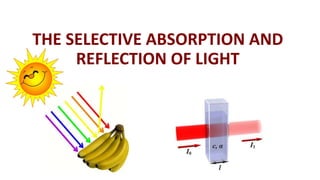 Absorption And Reflection Of Light