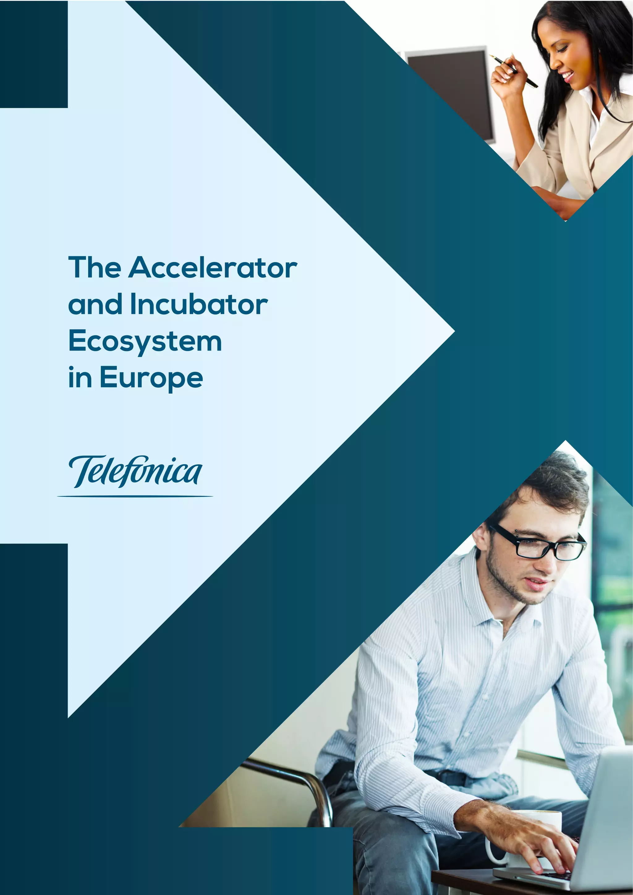 The accelerator and incubator ecosystem in Europe (2013) | PDF