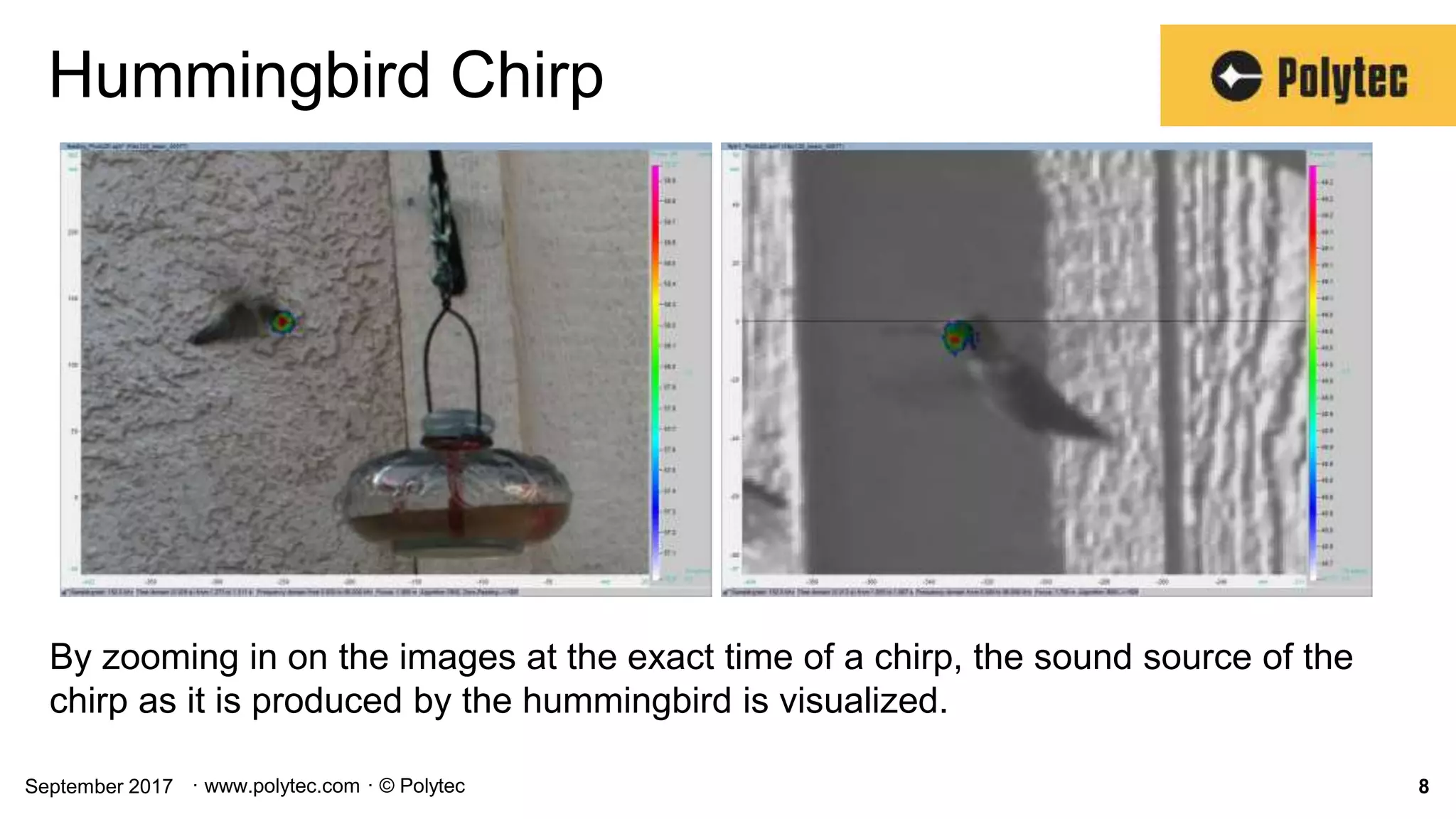 The Acoustic Camera: Noise of Hummingbirds | PPTX