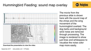 The Acoustic Camera: Noise of Hummingbirds | PPTX