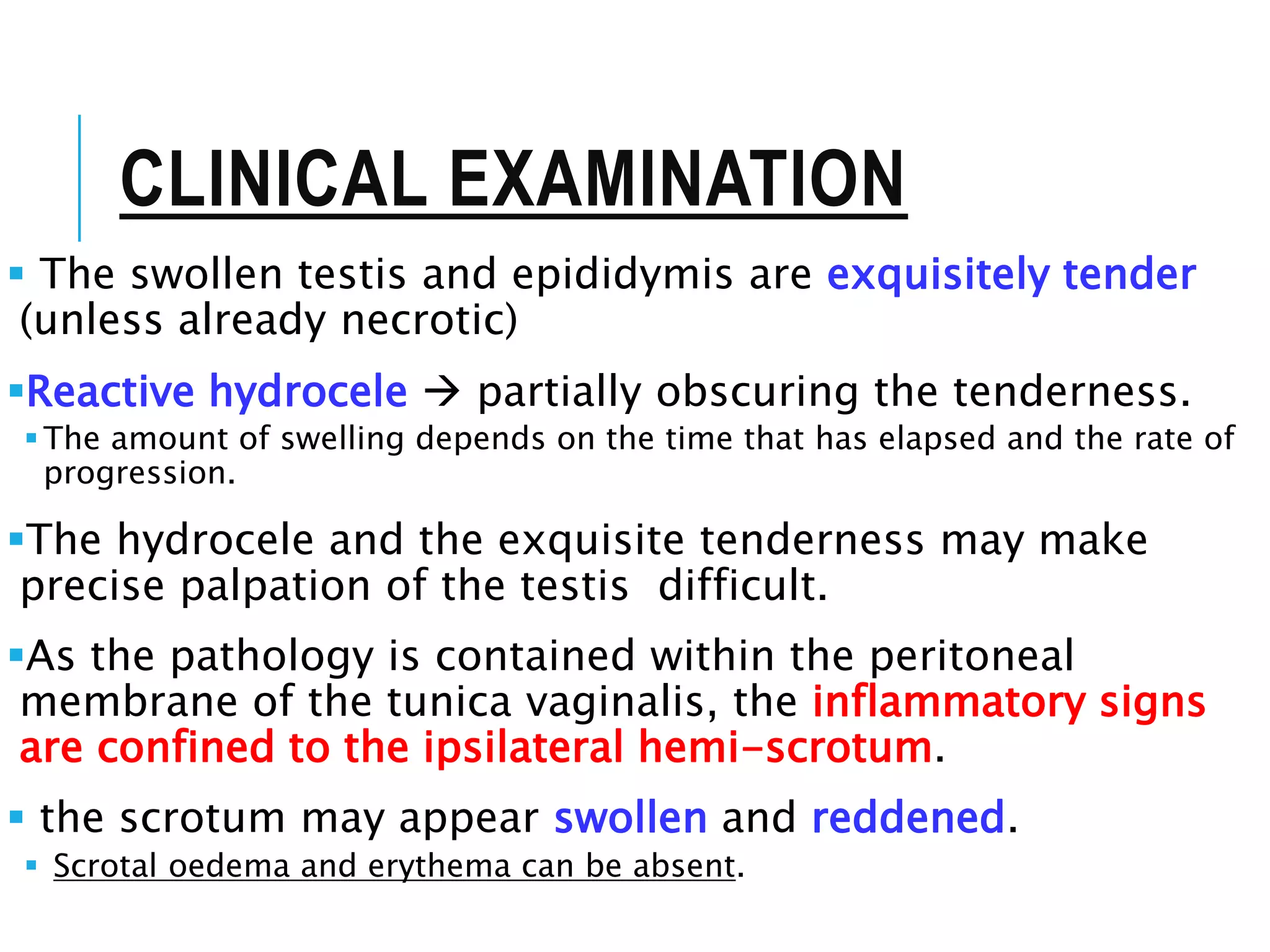 The Acute Scrotum.pptx