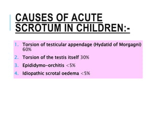 The Acute Scrotum.pptx