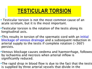 The Acute Scrotum.pptx