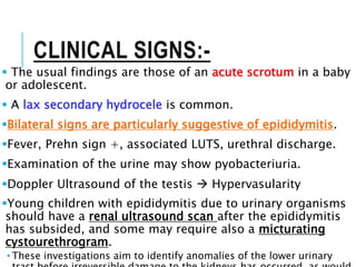 The Acute Scrotum.pptx