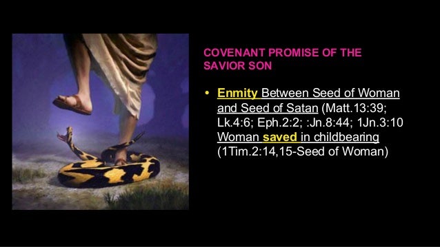 The Adamic covenant (English - Chinese)