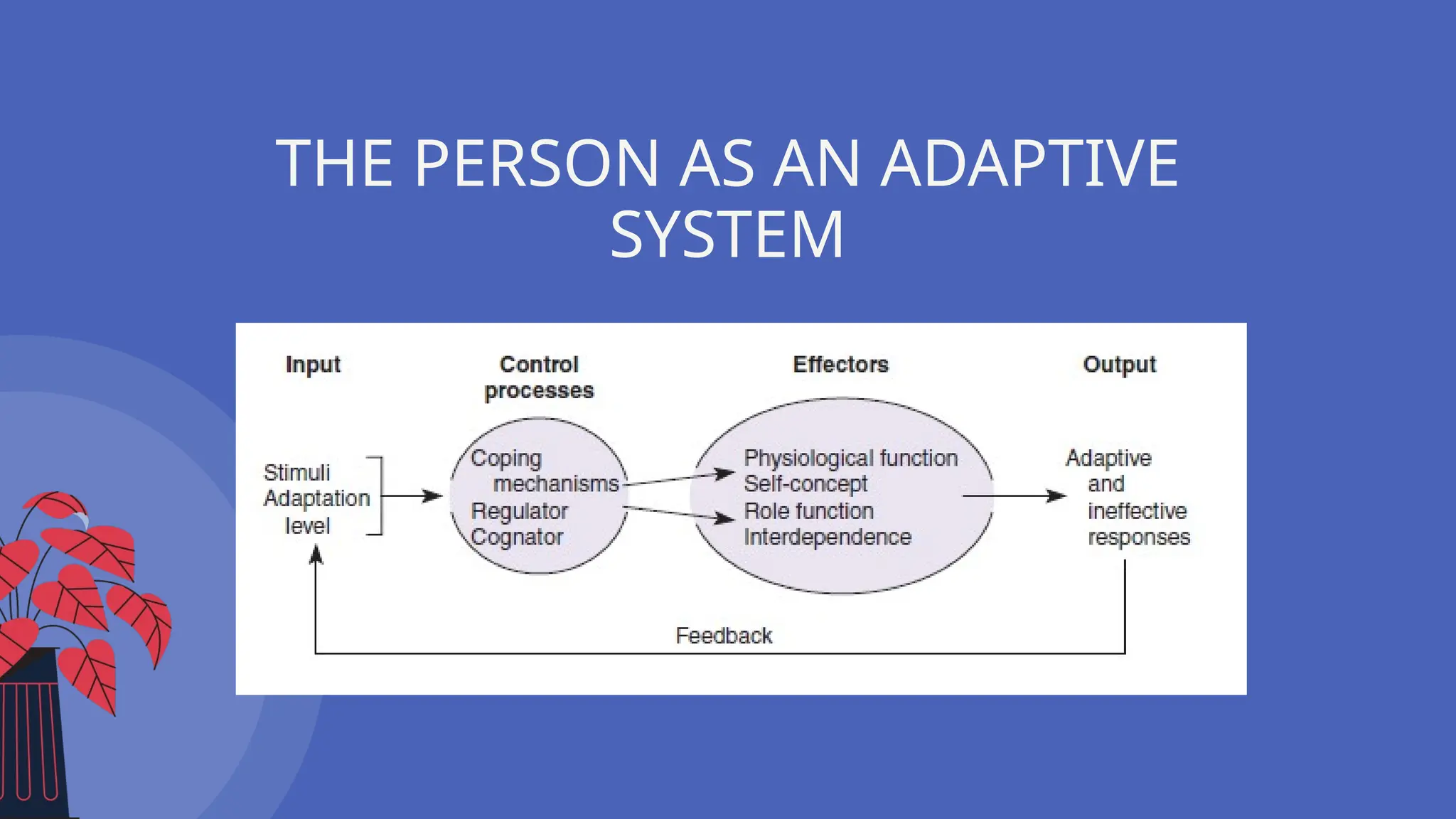 The Adaptation Theory Nursing Presentation.pptx