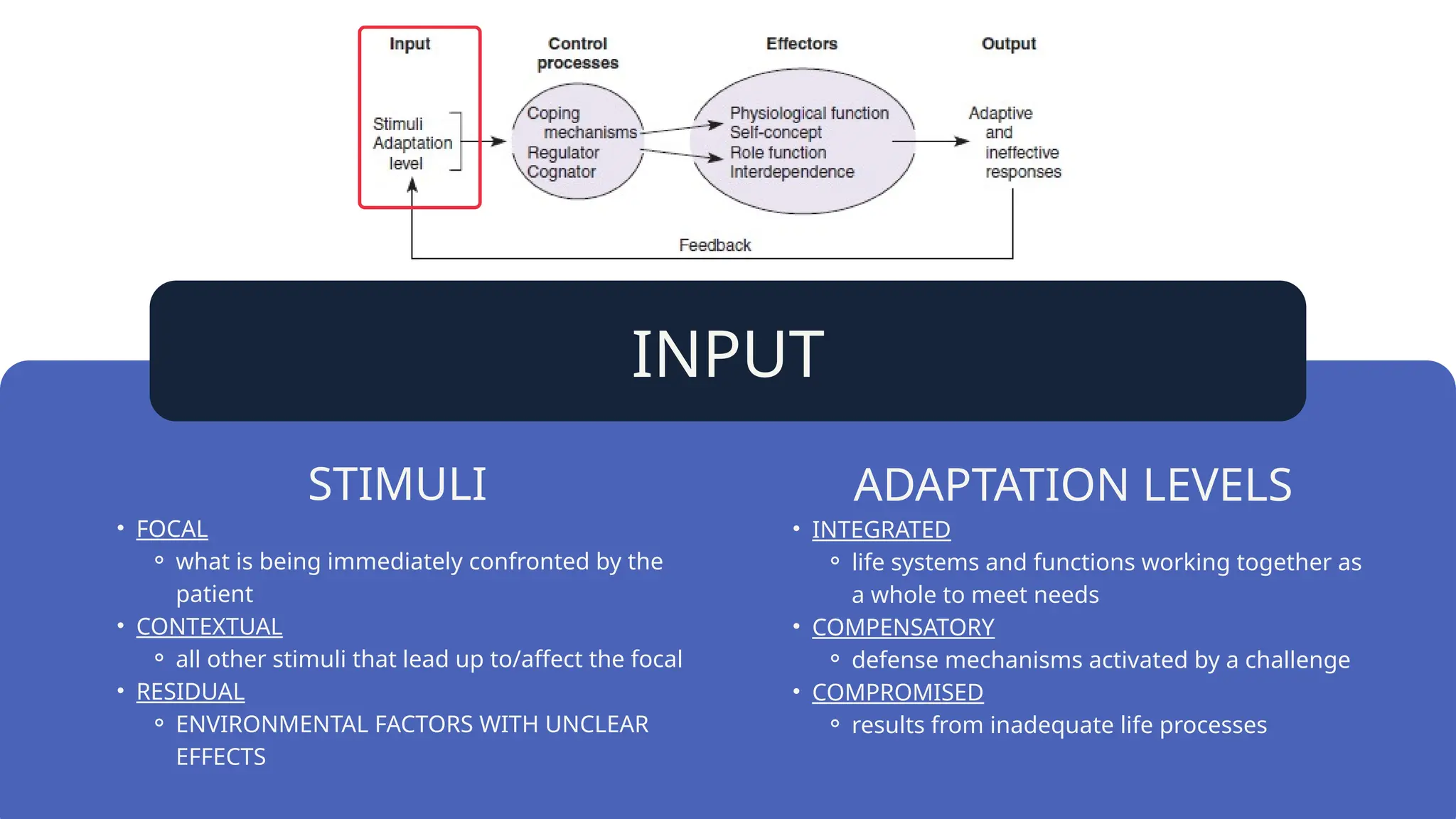 The Adaptation Theory Nursing Presentation.pptx