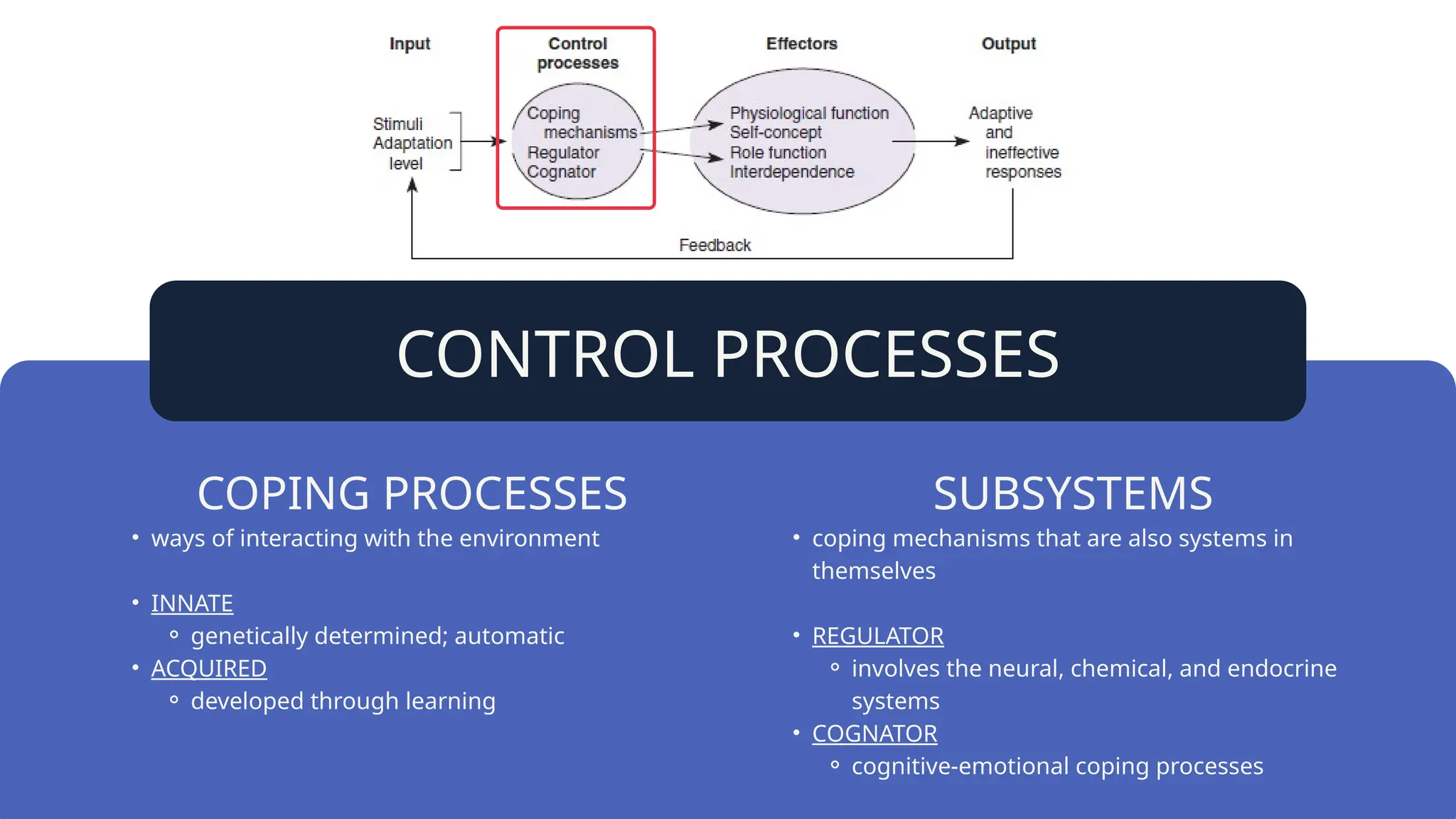 The Adaptation Theory Nursing Presentation.pptx