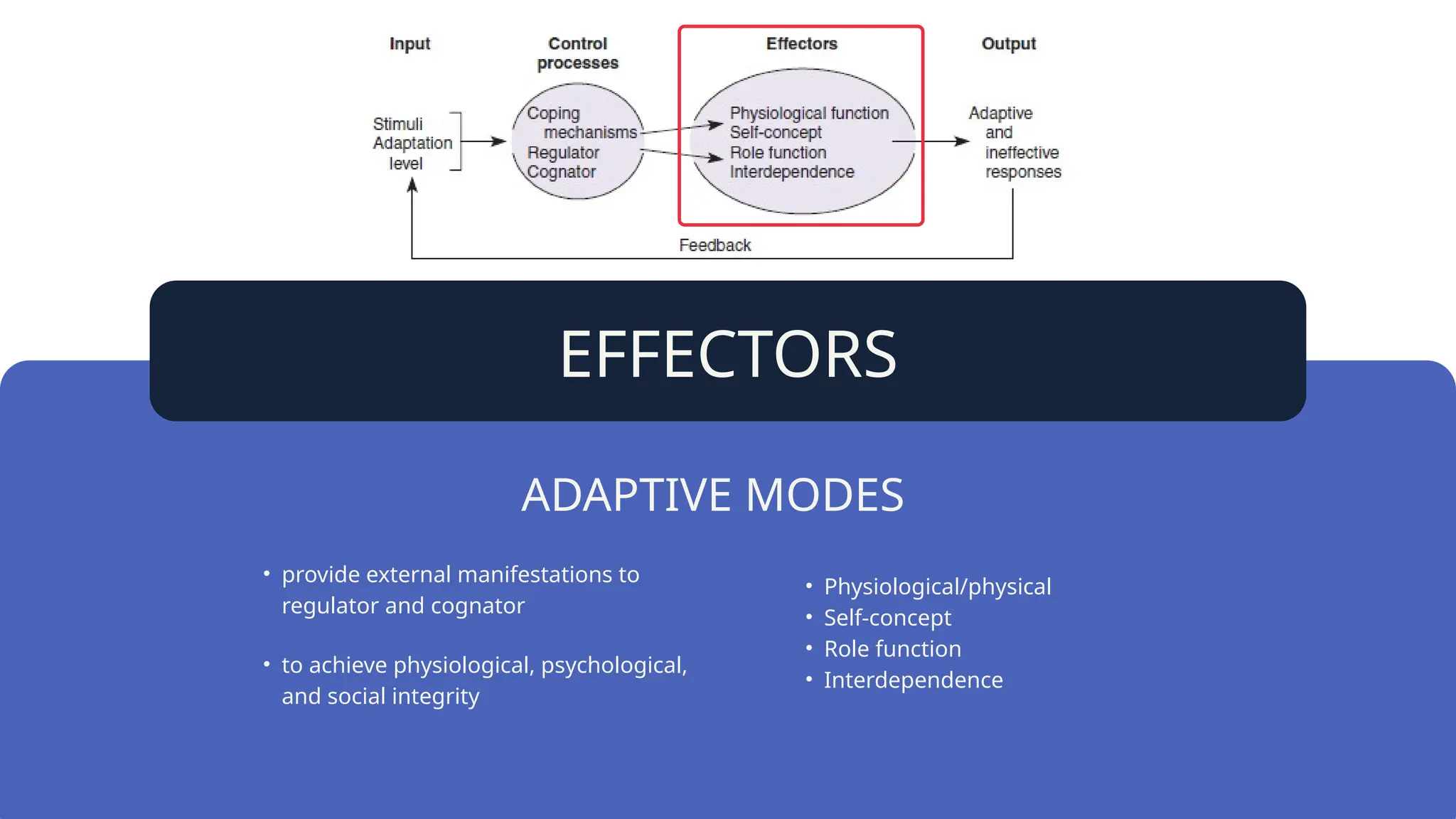 The Adaptation Theory Nursing Presentation.pptx