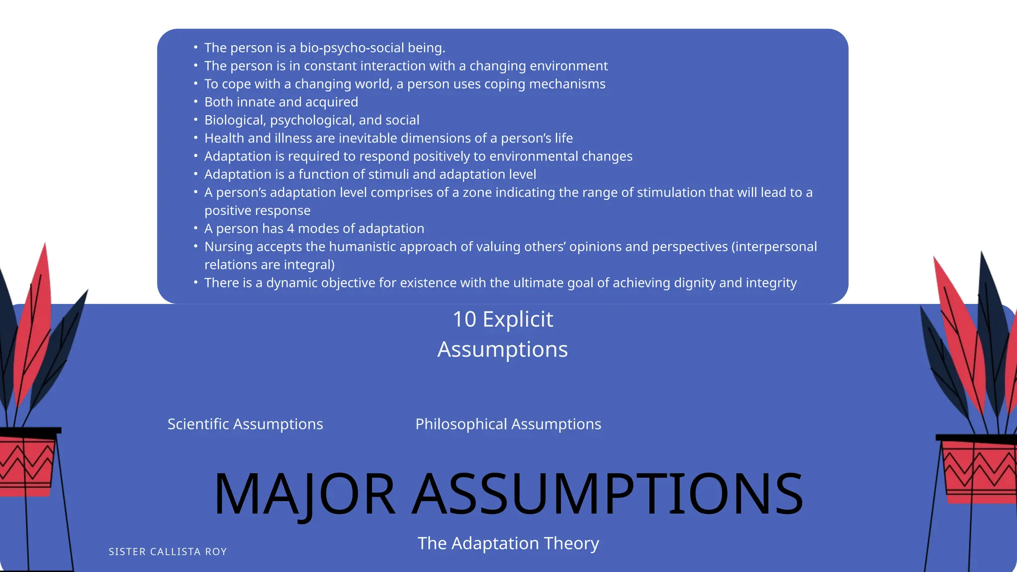The Adaptation Theory Nursing Presentation.pptx