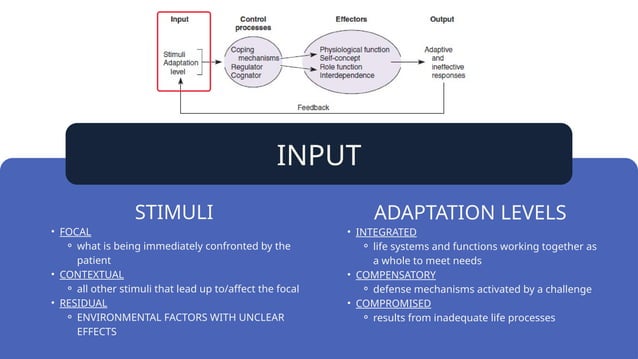 The Adaptation Theory Nursing Presentation.pptx