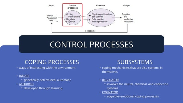 The Adaptation Theory Nursing Presentation.pptx