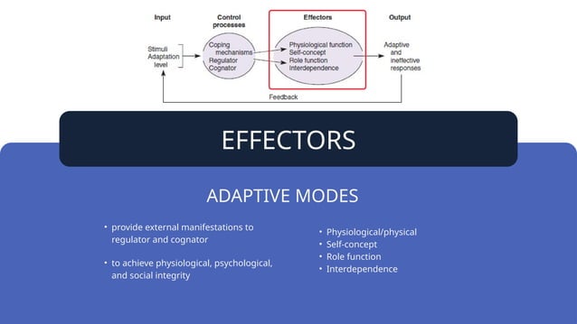 The Adaptation Theory Nursing Presentation.pptx