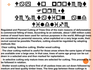 PPT geographical trees and history ppt. | PPTX
