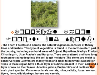 PPT geographical trees and history ppt. | PPTX