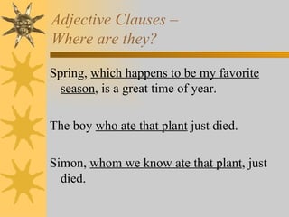 The Adjective Clause | PPT