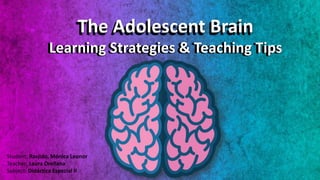 The Adolescent Brain - Visual Learners | PPTX