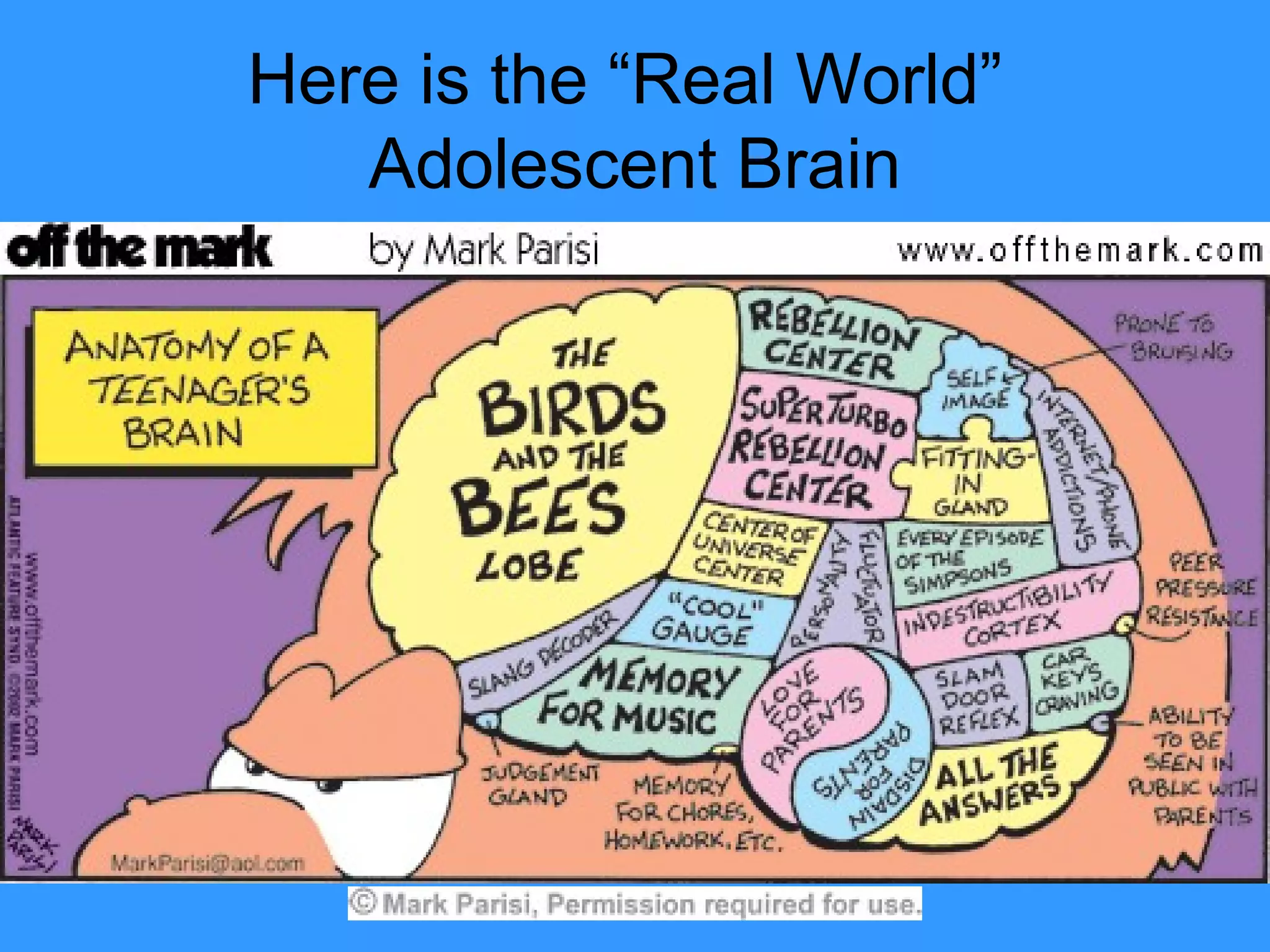 The Adolescent Brain Presentation Module 3 Ppt