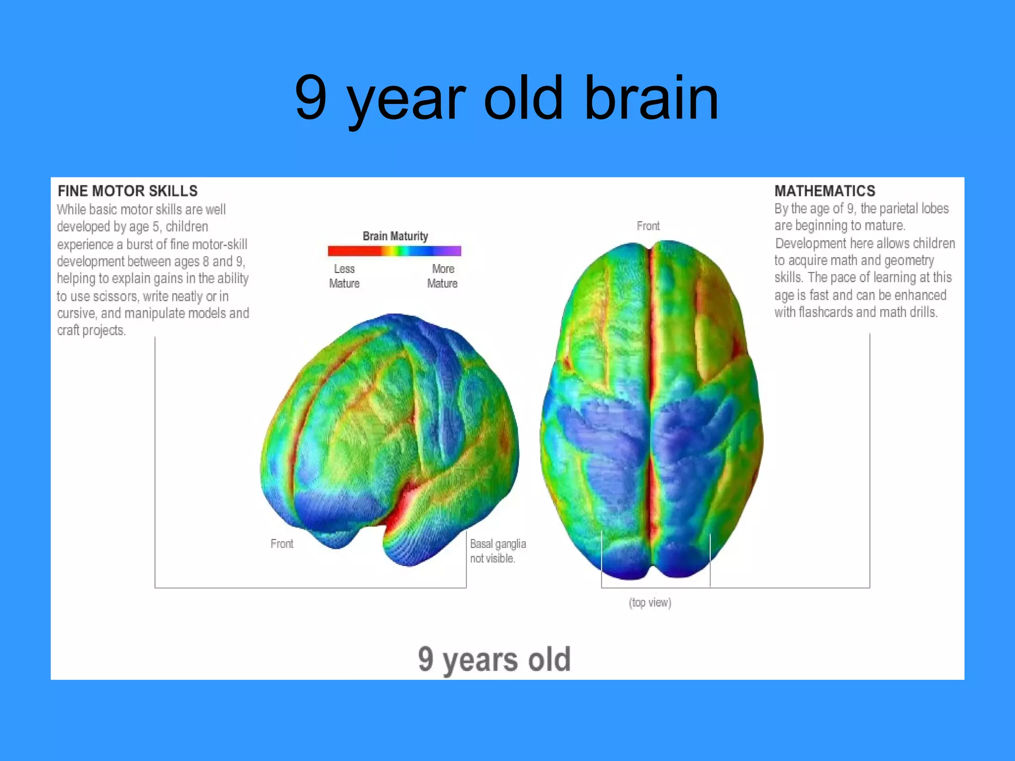 The adolescent brain presentation module 3 | PPT