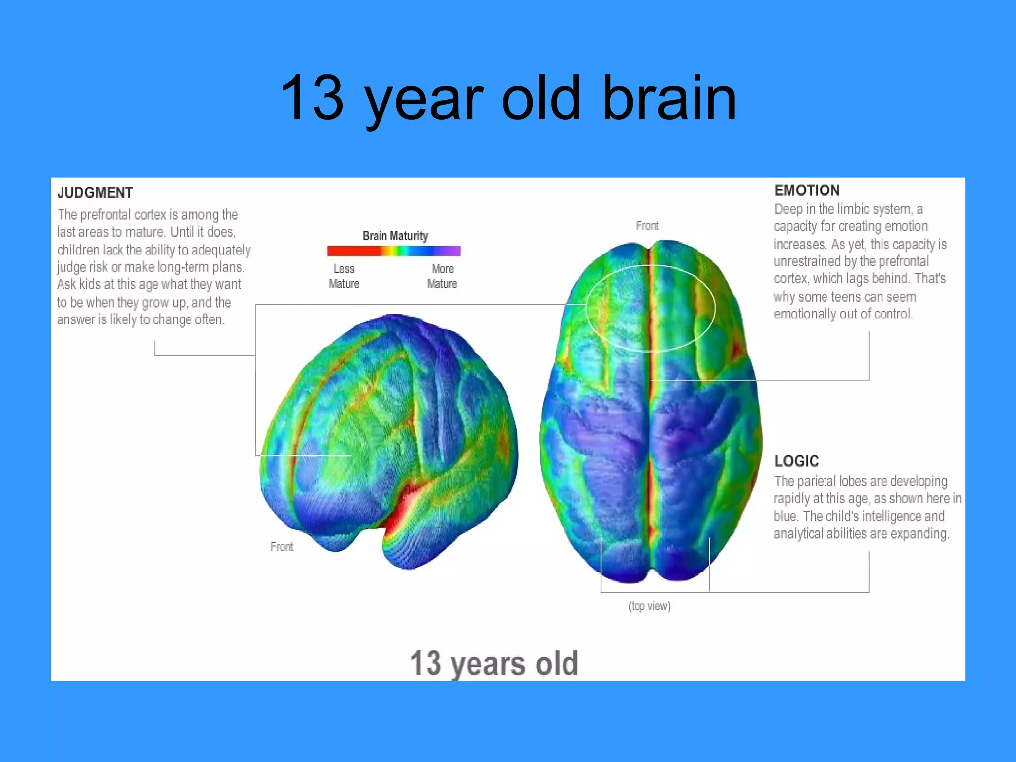 The adolescent brain presentation module 3 | PPT