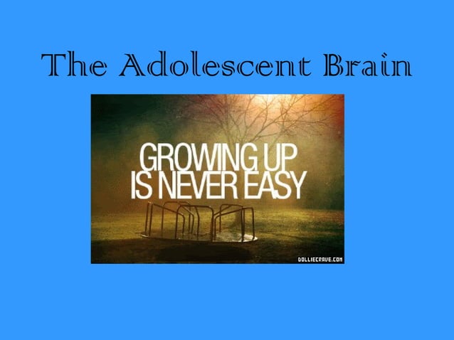 The adolescent brain presentation module 3 | PPT