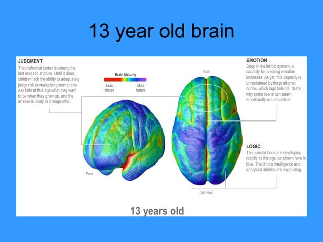 The Adolescent Brain Presentation Module 3 Ppt Free Download