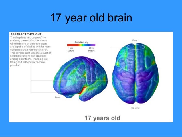 The adolescent brain presentation module 3