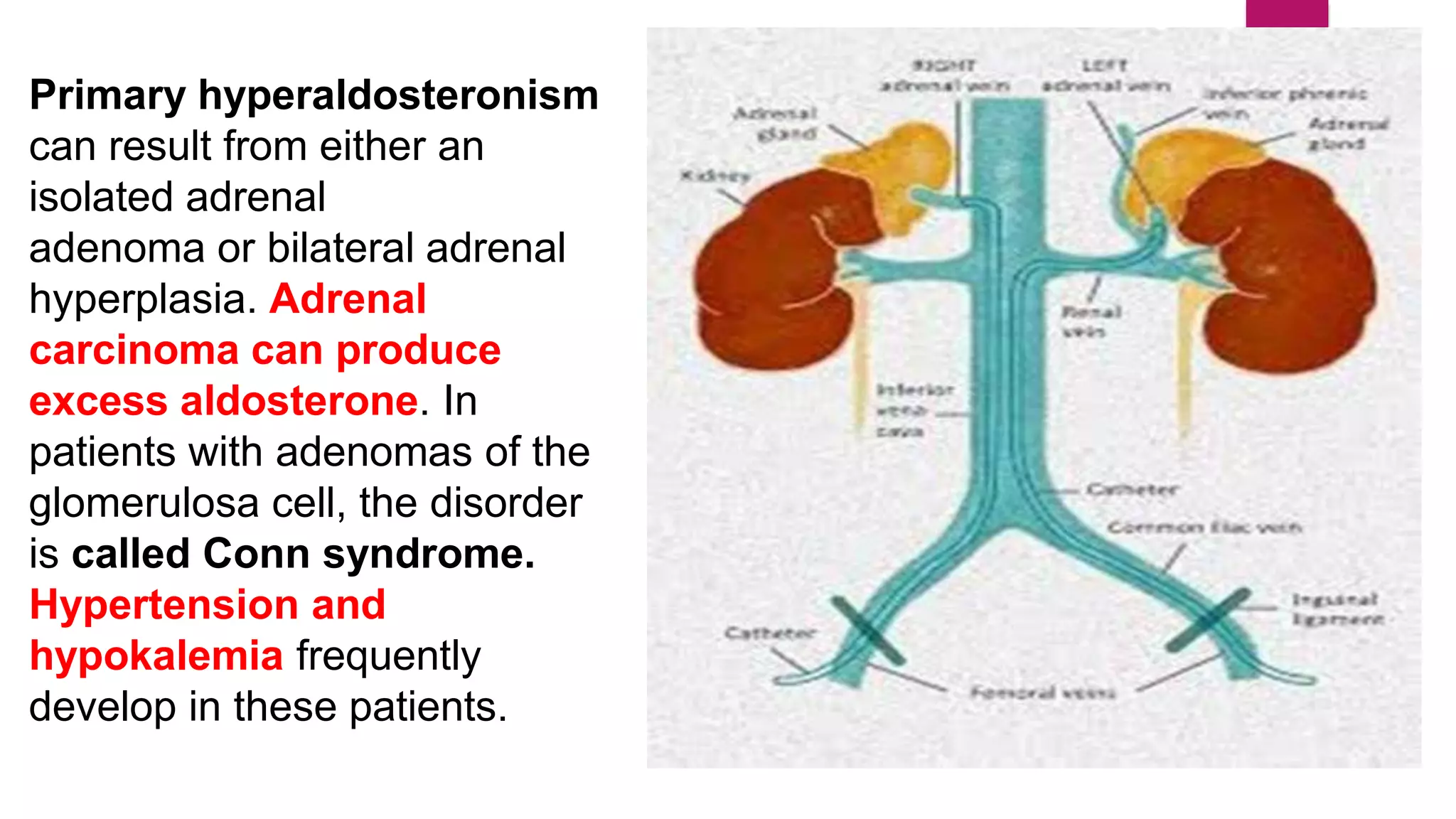The Adrenal Gland-converted.pptx