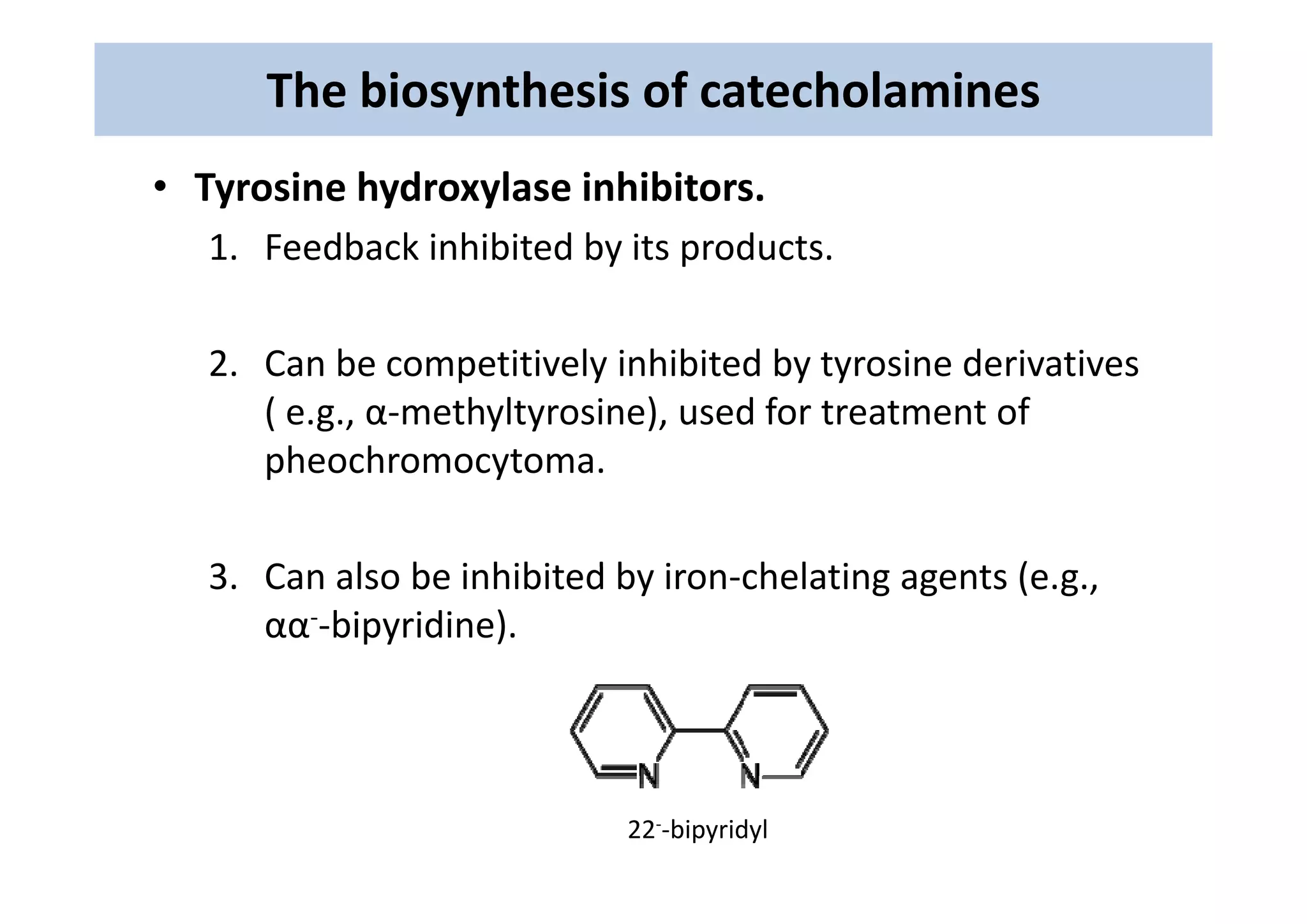 The adrenal gland, catecholamine synthesis | PDF