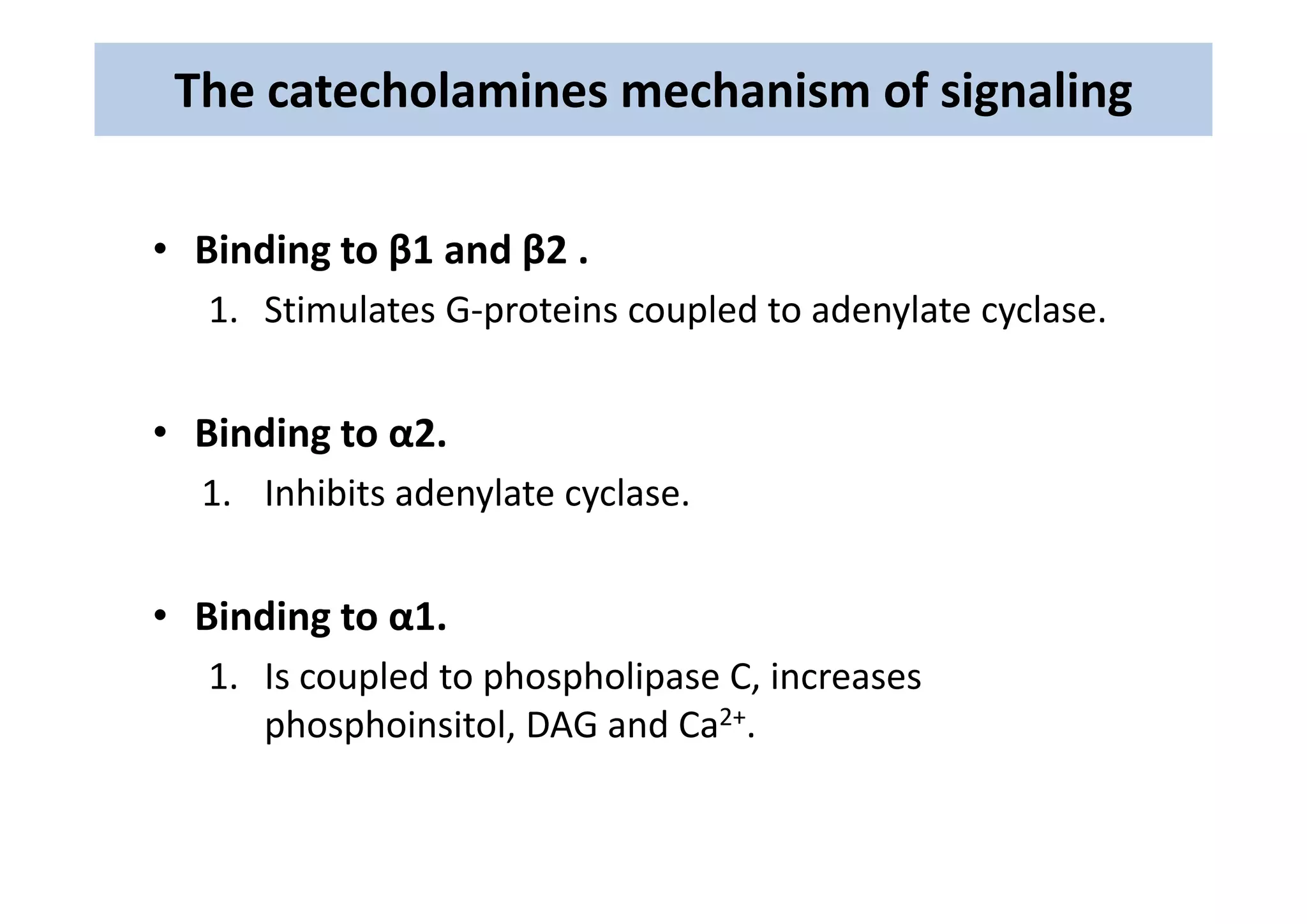 The adrenal gland, catecholamine synthesis | PDF