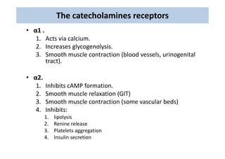 The adrenal gland, catecholamine synthesis | PDF