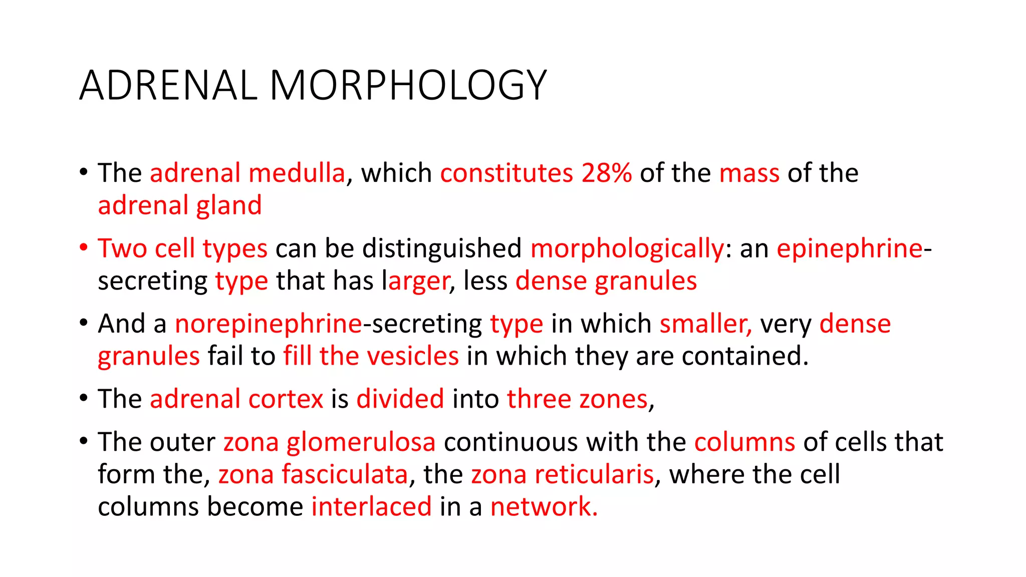 The adrenal medulla & adrenal cortex | PPTX