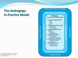 Andragogy In Practice Model