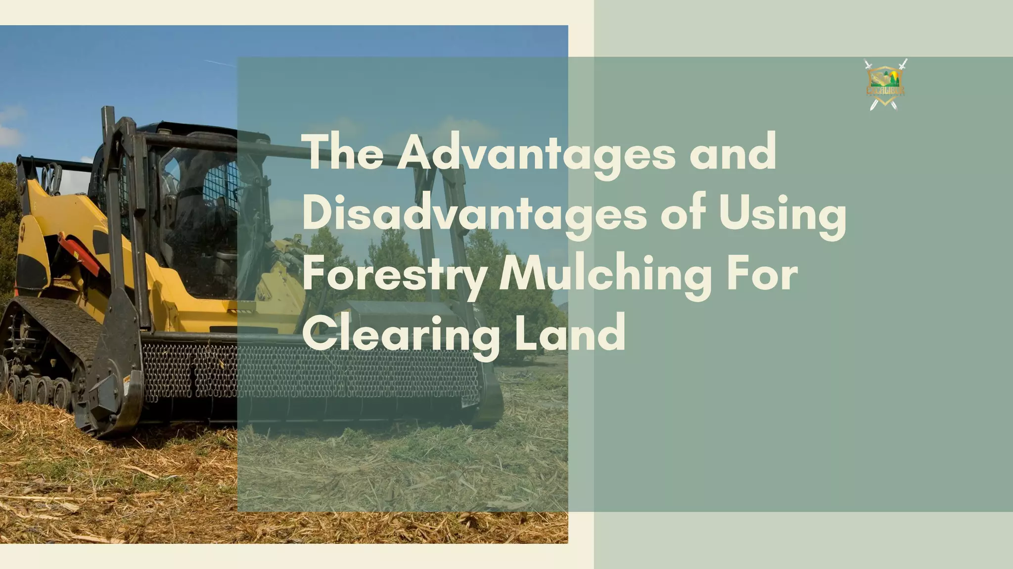 The Advantages And Disadvantages Of Using Forestry Mulching For